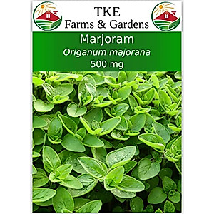 TKE Farms - Marjoram Seeds for Planting, 500 mg approxi. 2000 Seeds, Origanum majorana