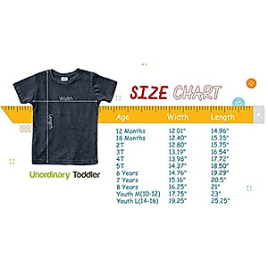 Big Brother Shirt, Big bro Shirt, Big Brother Announcement Shirt, Big Brother t Shirt Toddler (Light Gray, 18 Months)