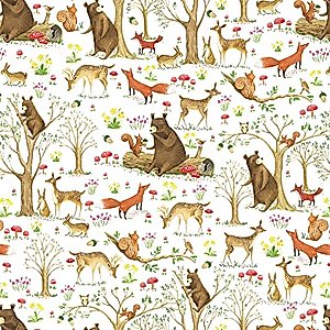 Jillson Roberts 6 Roll-Count Baby Gift Wrap Available in 5 Different Designs, Fairytale Forest