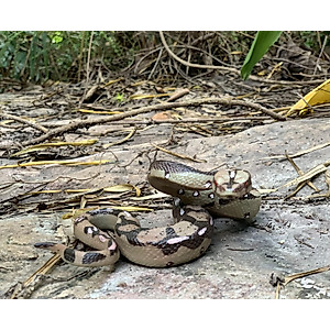 Higherbros Snake Toys Scary Prank Boa Constrictor Python Animal Figures Gag Gifts Halloween Decorations for Children's Animal Figurines Toys for Home and Garden Decorating