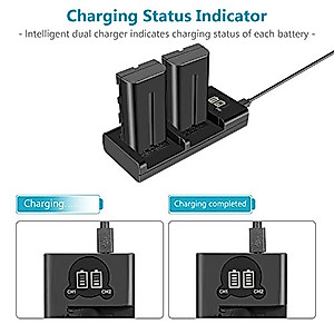 Neewer NP-F550 Battery Charger Set for Sony NP-F970 F750 F960 F530 F570 CCD-SC55 TR516 TR716 and More (2-Pack 2600 mAh Replacement Camera Batteries, Micro USB and Type-C Input Dual Charger)