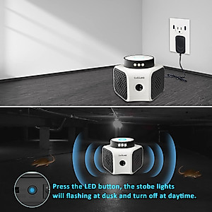 Careland Ultrasonic Pest Repeller Squirrel Repellent, 4 in 1 Rodent Repellent Plug-in Mouse Deterrent Emits Ultrasound Waves and LED Strobe Lights Indoor Use