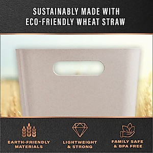 BINO 2-Pack Plastic Storage Basket, Beige - Small | Multi-Use Storage Basket | Rectangular Cabinet Organizer | Baskets for Organizing with Handles | Home & Office Organization & Container Storage