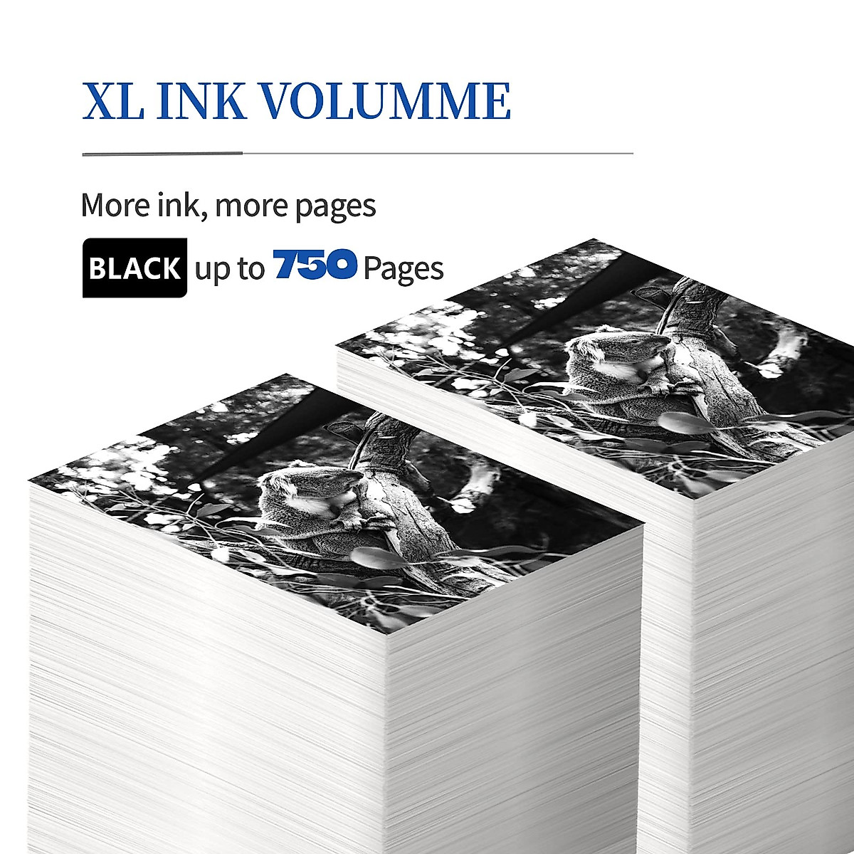 2Pack Higher Yield 63XL XXL Remanufactured Black Ink Cartridges for Replacement for HP 63XL for HP OfficeJet 3830 5255 5258 Envy 4520 4512 4513 4516 DeskJet 1112 1110 3630 3632