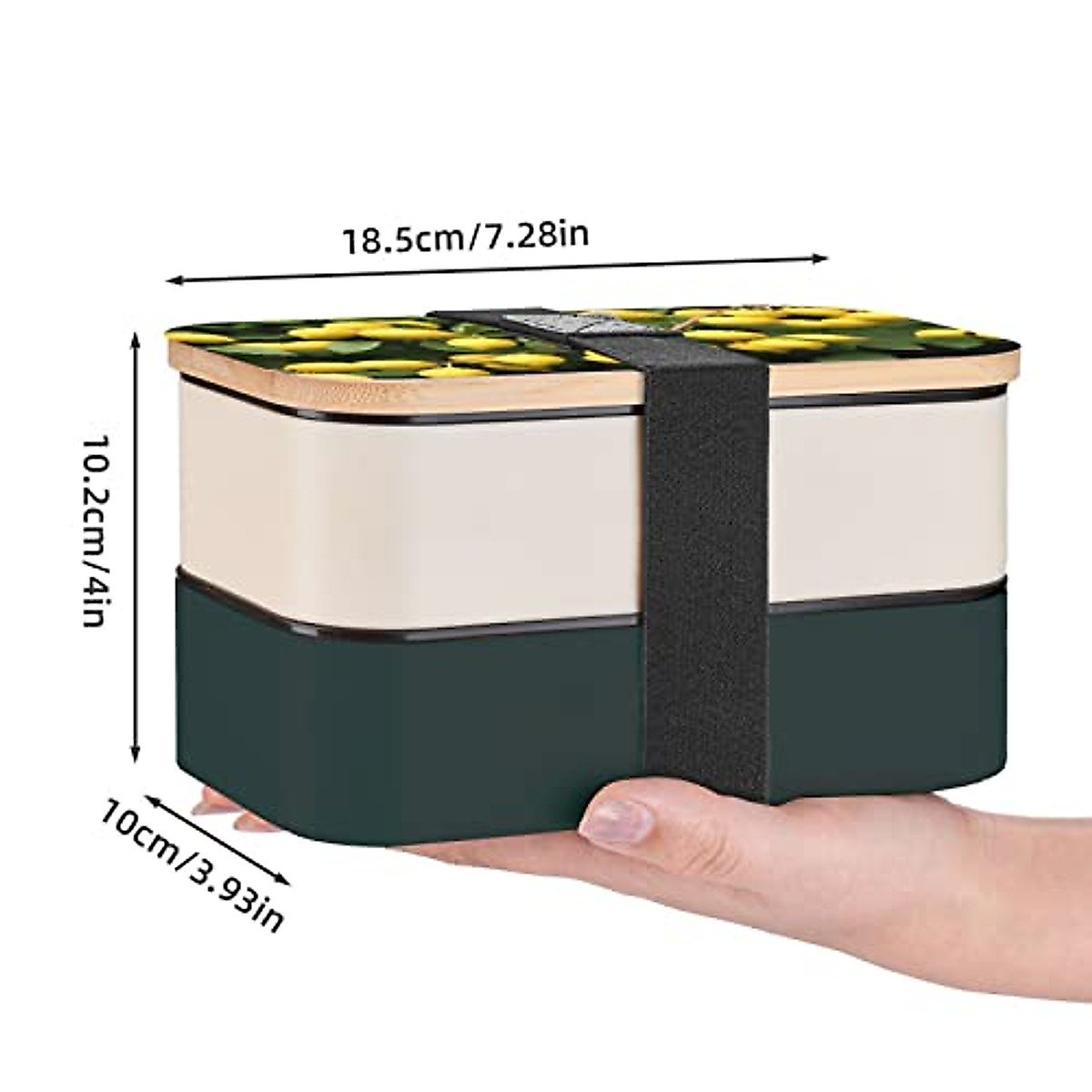 Lemons Premium Bento Lunch Box, 2 Compartments Leakproof Lunch Box With Cutlery For Adults, Microwave & Dishwasher Safe