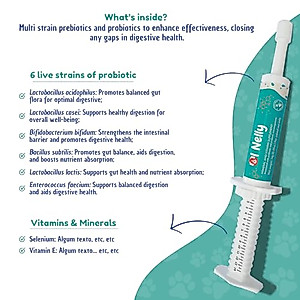 Ol Nelly Prebiotic & Probiotic Dog Probiotic Paste, 6 Strains of Bacteria,18 Bi CFU's + Vitamins, Minerals- Upgraded Formula for Fast Balance GI, Dogs Probiotic Paste (14 g)