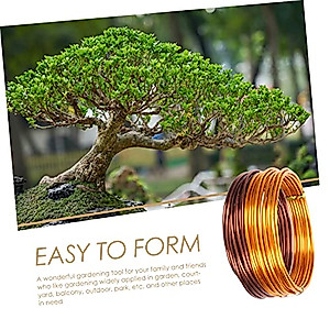 YARNOW 4pcs Practical Model Gardening Starter Brown Wire Golden Craft Climbing Making Holding Aluminum Sculpting Modelling Training Mm Plant Garden Bonsai Bike Tree Fence Wires Skeleton