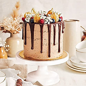 The Upper Kitchen Cake Spinner – Best Cake Spinner Turntable for Decorating, Tall Spinning Cake Stand for Decorating, Rotating Cake Stand, Small Revolving Cake Stand, White Cake Decorating Stand