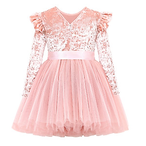 Flofallzique Girls Tutu Dress Long Sleeves Toddler Velvet Tulle Dresses for Birthday Party (2, Dusty Pink)