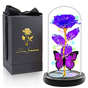 Mothers Day Flowers Gifts Mom, Rose Flower Mom Gifts Wife Grandma Her, Galaxy Crystal Light Up Rose Flowers in A Glass Dome Purple, Mother Day Presents from Daughter Butterfly Birthday Gifts for Women