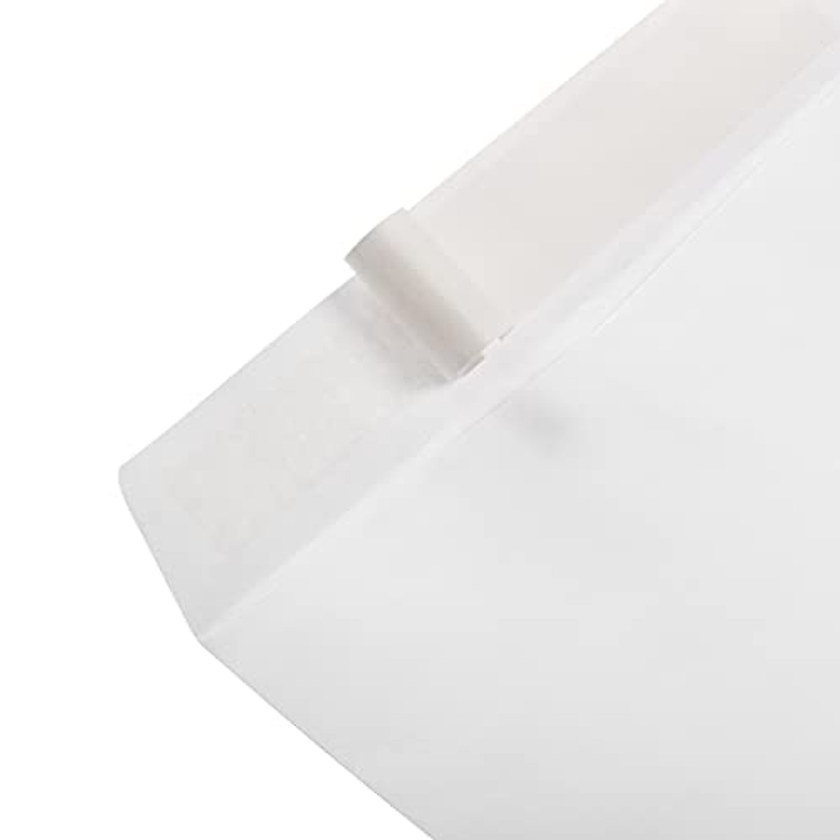 Amazon Basics Catalog Mailing Envelopes, Peel and Seal, 9x12 Inch, White, 250-Pack