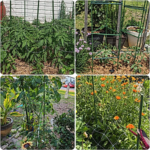 HOOPLE 30Pack Garden Stakes Sturdy Plant Sticks/Support, Tomato Stakes, Garden Stakes, Steel Plant Stakes for Outdoor Climbing Plants, Plant Sticks Support for Tomato Beans Potted (4FT 30PACK)