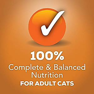 Purina Friskies Gravy Pate, Wet Cat Food Extra Gravy Pate With Chicken in Savory - (Pack of 24) 5.5 oz. Cans