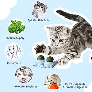 Catnip Balls for Cats Wall Catnip Ball Toy, 2 Pack Edible Cat Nip Ball Double Ball for Cats Chew Toy, Rotatable Interactive Cat Kitten Toys of Indoor Cats for Teeth Cleaning & Soothe the Mood (Blue)