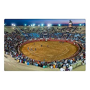 LESGAULEST Doormat Floor Rug/Mat (23.6 x 15.7 inch) - Bull Ring Plaza De Toros Panorama Maracaibo