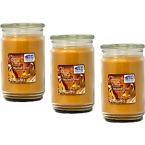 Mainstays 20oz Scented Candles 3-Pack (Mulled Cider)