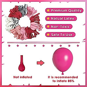 Amandir 113Pcs Western Cowgirl Birthday Party Decorations, Retro Horse Rodeo Party Supplies Backdrop for Girls Hot Pink Silver Balloon Garland Arch Kit Birthday Banner Horse Garland Cake Toppers