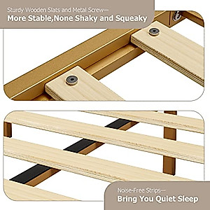 HIFIT Queen Size Platform Bed Frame with Elegant Button Tufted Curved Headboard, Velvet Upholstered Bed Frame with No Noise, Heavy Duty Metal Frame Foundation, No Box Spring Needed, Gold-Beige