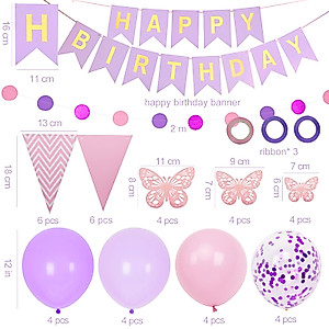 Purple and Pink Birthday Decorations, Purple Happy Birthday Banner for Girl Women with Balloons, Pennant Banner Flags, Butterfly Decorations and Circle Dot Paper Garland