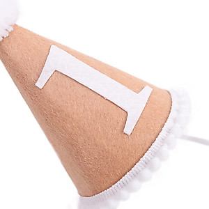 Baby 1st Birthday Party Hat - Handmade Wool Felt Hat for Kids, Photo Booth Props, Backdrop, Cake Smash, and First Birthday Accessories (Beige)