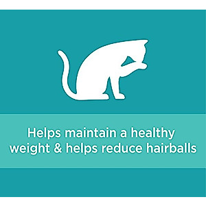 Iams Dry Food Proactive Health Indoor Weight and Hairball Care Dry Cat Food, 3.5 Pound