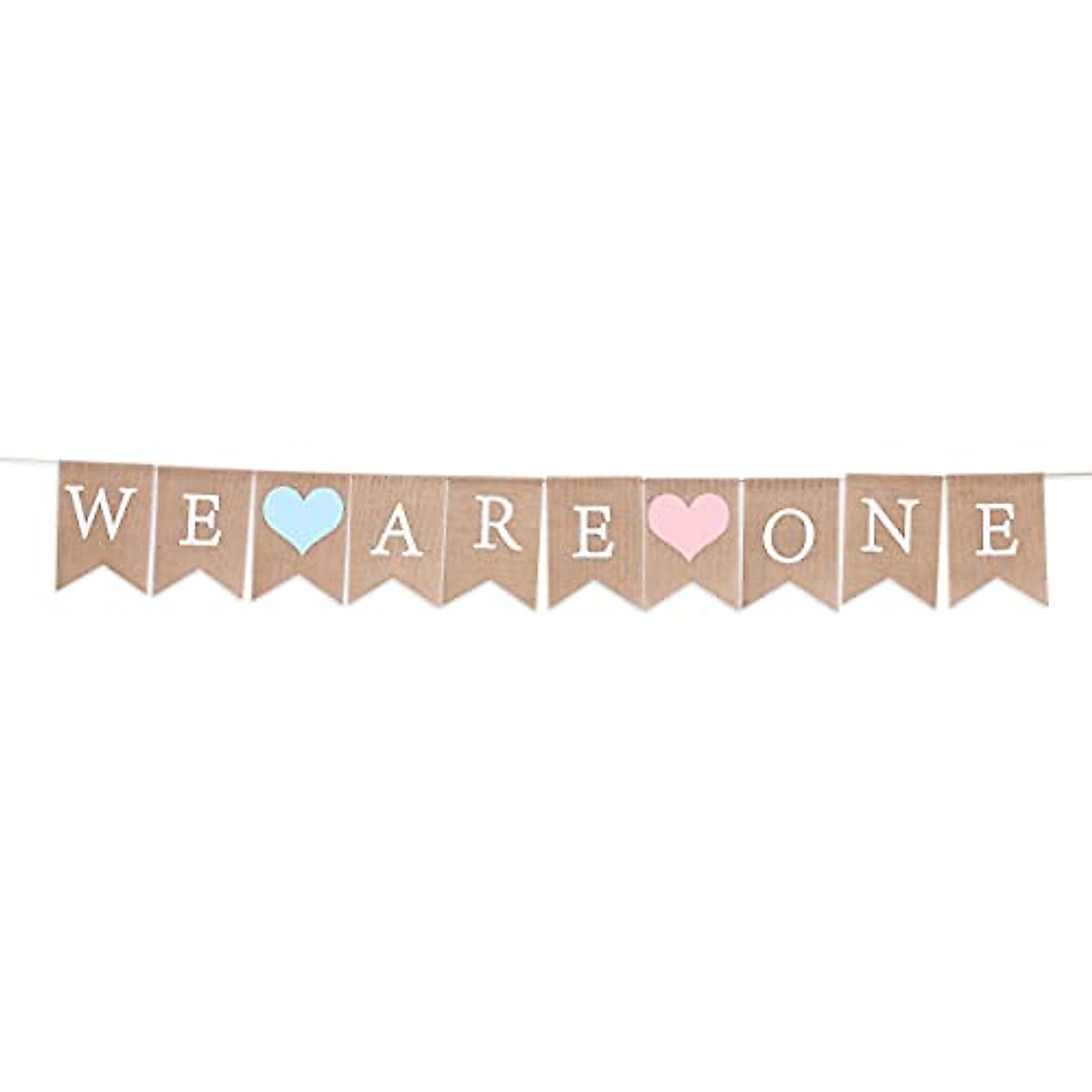 Twins Banner for 1st Birthday - We Are One Banner, Twins Birthday Party Banner, Twins Frist Birthday Decor, Girls Boys First Birthday Decoration,Photo Prop