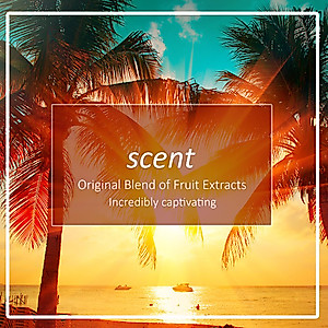 RemySoft Moisturelab System - Safe for Hair Extensions, Weaves and Wigs - Salon Formula Shampoo, Conditioner & Serum - Gentle Sulfate-free Lather