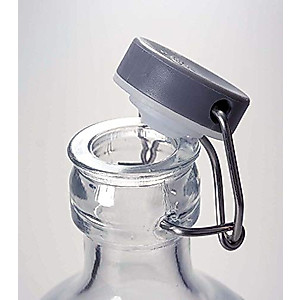 Kilner Clip Bottle, 33.8 fl oz (1 L), Clear