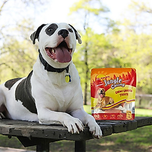 Jungle Calling Dog Treats, Chicken Wrapped Calcium Dog Bones, Rawhide Free Dog Chews, Chewy Dog Training Treats, 6 oz