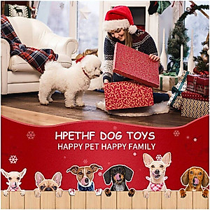 HPETHF Puppy Teething Chew Toys for Small Dog, Puppy Teething Rings Rope Cute Rubber Toy Interactive Chewers Relieve Itching Treat Ball Clean Teeth Toy 6 Pack (9 Pack)