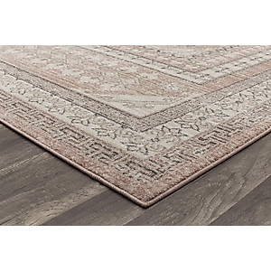 Rugs America Harper HY40A Vintage Transitional Carnation Non-Shedding Living Room Bedroom Dining Home Office Area Rug, 8'0" x 10'0"