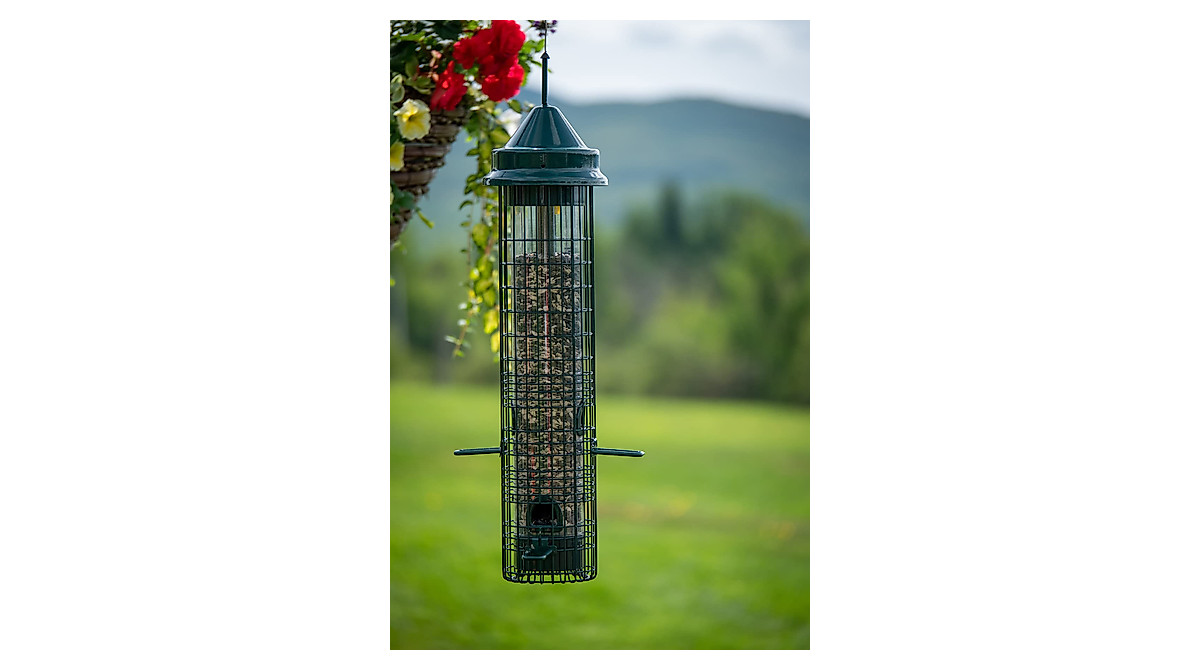 Squirrel Buster Classic: Truly Squirrel-Proof Bird Feeder