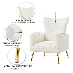 FATFISH Modern Velvet Accent Chair with Arms, Wingback Reading Chair with Gold Metal Legs, Comfy Upholstered Single Leisure Sofa for Living Room Bedroom Club(Velvet+White)