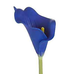 Pure Garden Artificial Calla-Lily with Stems - Real Touch Fake Flowers for Home Décor, Wedding, Bridal/Baby Shower, More- 24 Pc Set (Royal Blue)