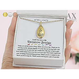 AX Minimalist Personalized Teardrop Urn Necklace For Dog Ashes, Rainbow Bridge Dog Necklace, Memorial Gifts, Rainbow Bridge Sympathy Gift (UNL-S23)