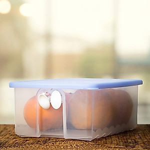 Tupperware. Fridge Smart Medium 1.6l 2pc