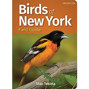 Birds of New York Field Guide (Bird Identification Guides)