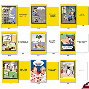 NobleWorks - 36 Assorted Set Funny Mixed Occasions Cards Bulk Box w/Envelopes, Humor Birthday Get Well Friendship (36 Designs, 1 Each) - Whyatt's Wide Variety AC9382XXG-B1x36