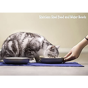 BiteKing Stainless Steel Cat Bowls, Whisker Fatigue Relief Cat Food Dish, Metal Shallow Wide Large Replacement Plate for Dog and Pet, Ideal for Raised Elevated Pet Feeding Station Stand