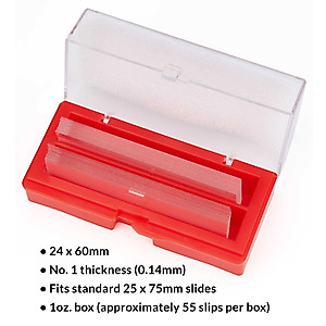 Globe Scientific 1419-10 Cover Glass, 24 x 60mm, No. 1 Thickness (Case of 10)