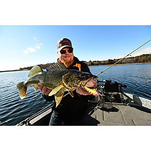 Northland Tackle Rumble Shad Fishing Lure - Freshwater Bait for Bass, Trout, Walleye, Crappie, and Many Other Fish - Stainless Steel Hook - Perfect Gear for Any Kit (Lemon Tiger, 3.25", 5/8 Oz)