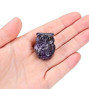 CrystalTears Amethyst Crystal Owl Figurine Ornament Carved Natural Healing Crystal Gemstone Animal Statue for Home Office Decor Reiki Healing Good Luck Crystal Gift for Christmas