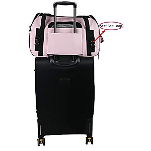 EliteField Soft Sided Pet Carrier (3 Year Warranty, Airline Approved), Multiple Sizes and Colors Available (Large: 19" L x 10" W x 13" H, Pink)