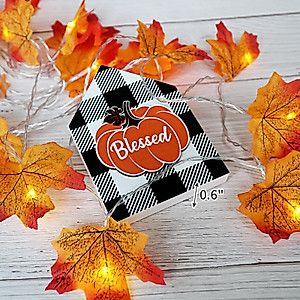 Fall Decor Fall Gnome Tiered Tray Decorations set Farmhouse Thankgiving Home Table Decor 3m Fall string lights Decor, Plaid Fall Gnomes Plush - Fall Wood Signs - Harvest Decorations for Home