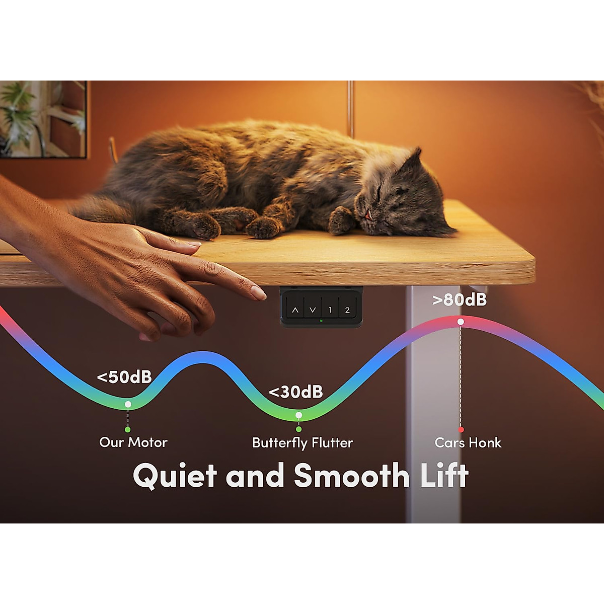 FEZIBO Electric Standing Desk, 48 x 24 Inches Height Adjustable Stand up Desk, Sit Stand Home Office Desk, Computer Desk, Maple