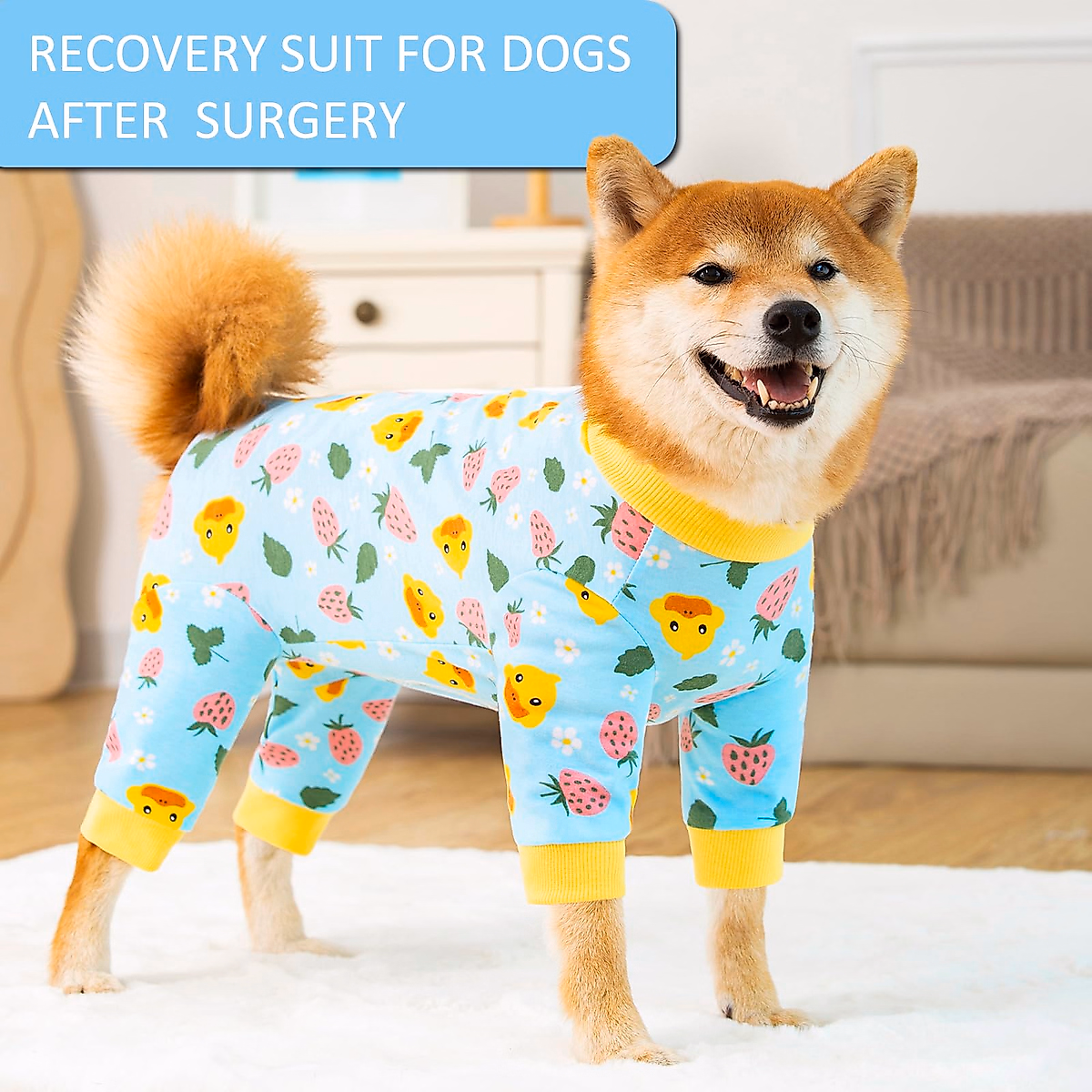 Pupsooft Dog Recovery Suit for Small Medium Large Dogs, Pet Onesie After Surgery Comfort Dog Bodysuit Anti Licking (Small, Blue)