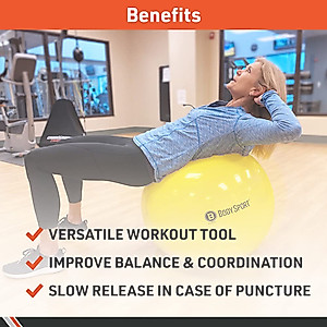 Body Sport Slow Release 65cm Exercise Ball with Pump, Gym Equipment for Home or Office, Stability Fitness Ball, Pregnancy Ball, Core Strength Training Equipment