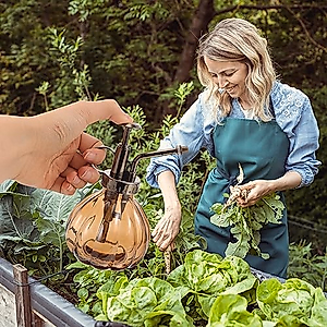 SAFIGLE Watering can Plants Spray Mister Glass Mister Spray Bottle Water Spritzer for Plants Succulent Accessories Succulent Watering Bottle for Home Balcony Glass Spray Bottle