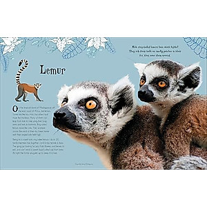 An Anthology of Intriguing Animals (DK Children's Anthologies)