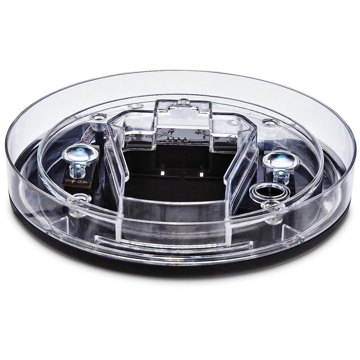 Imagitarium Freshwater Globe Kit, 3.1 GAL